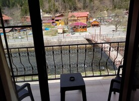 Apartamento, 1 quarto, varanda, vista para o rio | Varanda