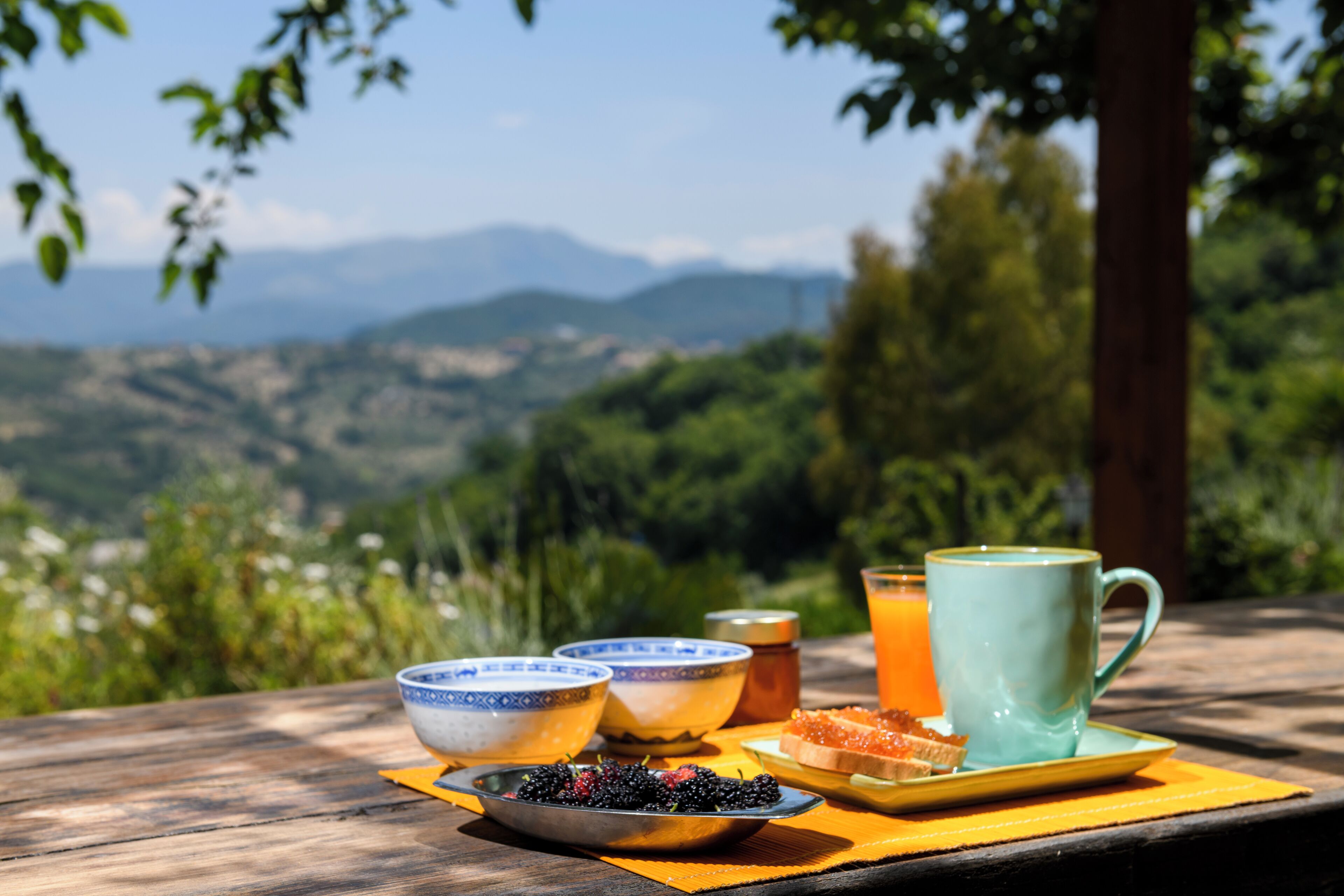 Mesa de madeira com uma mesa de café da manhã, incluindo tigelas, um prato com frutas vermelhas, torradas e uma caneca, com uma paisagem montanhosa ao fundo.