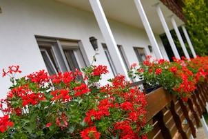 Uma fileira de bancos de madeira com flores vermelhas em frente a um edifício branco com várias janelas e um alpendre.