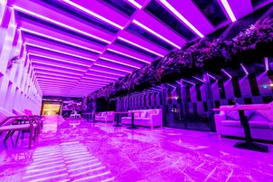 Interior moderno com teto iluminado em roxo, áreas de estar e balcão de recepção.