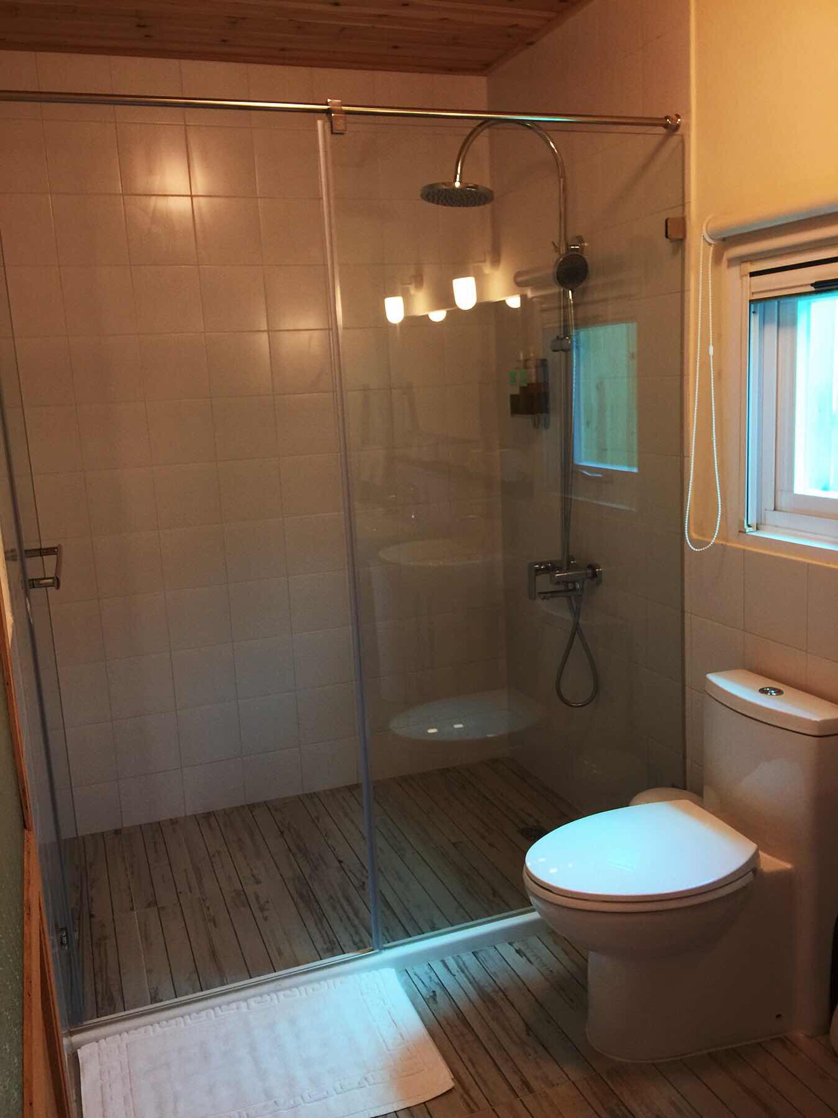Um chuveiro com porta de vidro, vaso sanitário e janela.