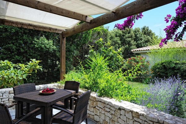 Poisson Rouge - Bonifacio