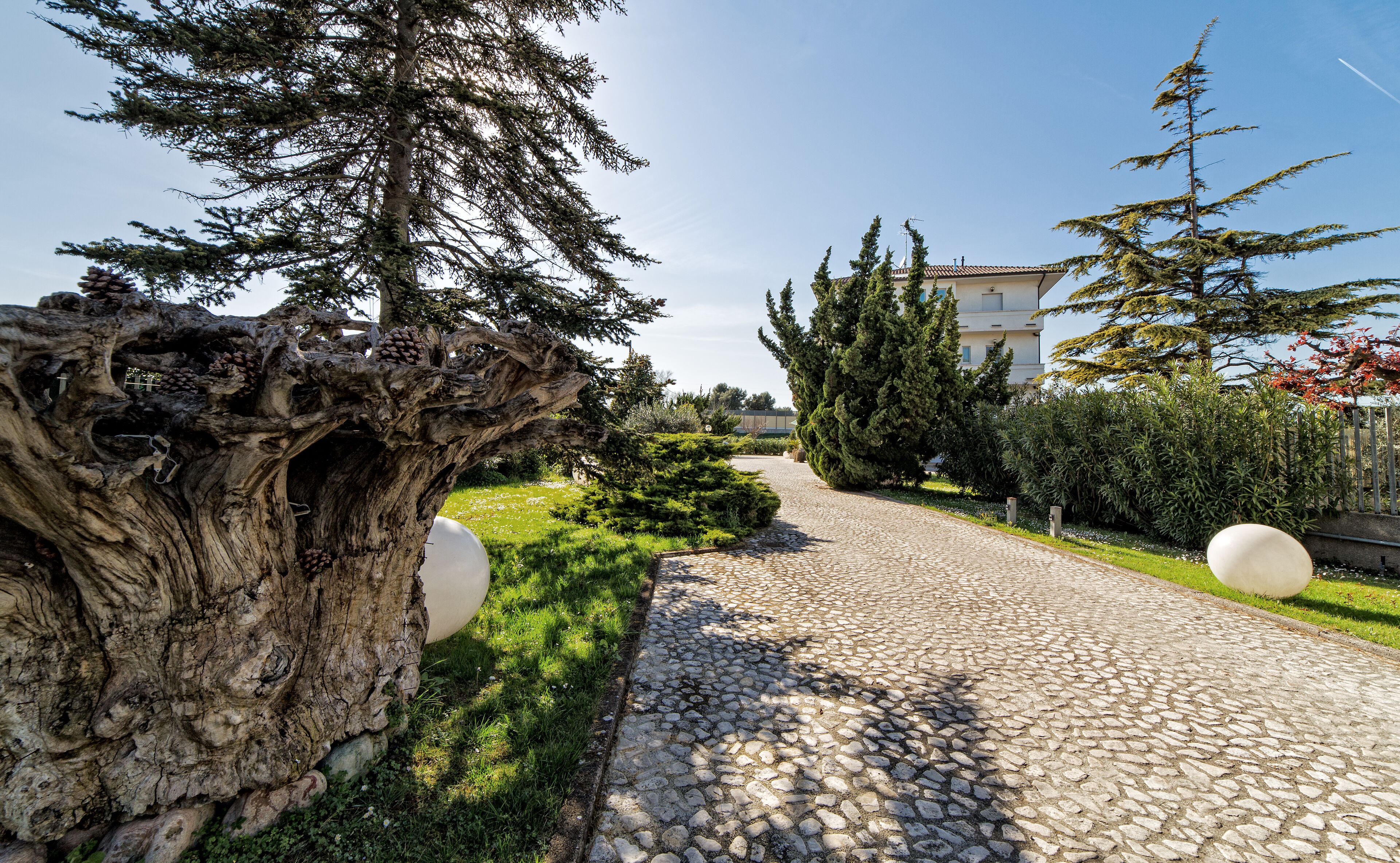 Uma passagem de pedras irregulares leva a um edifício com design moderno, rodeado por árvores frondosas e vegetação bem cuidada.