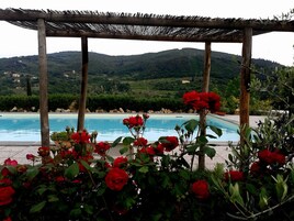 Piscina exterior, da(s) 7:00 à(s) 20:00, guarda-sóis, espreguiçadeiras 