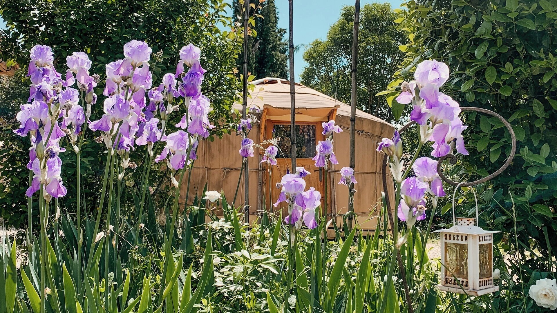 Barraca standard, vista para a piscina | Terraço/pátio