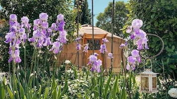 Tenda Standard, vista para a piscina | Terraço/pátio interior