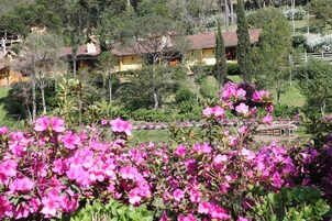 Apartamento, vista para o lago | Vista do quarto