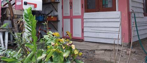 Uma casa rosa com varanda, caixa de correio e plantas em vasos.