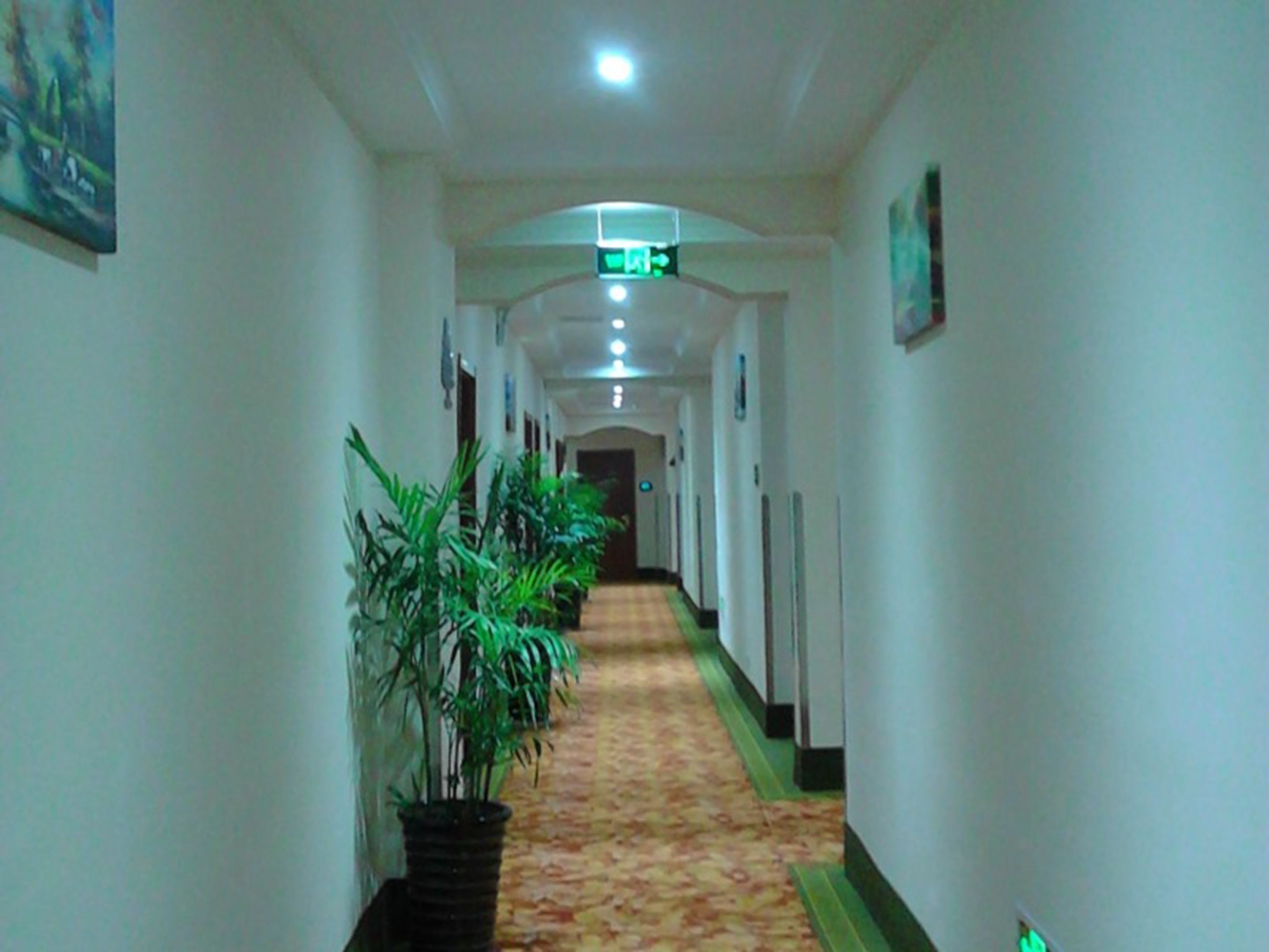 Um corredor comprido e estreito com piso coberto de carpete, ladeado por paredes brancas e plantas verdes.