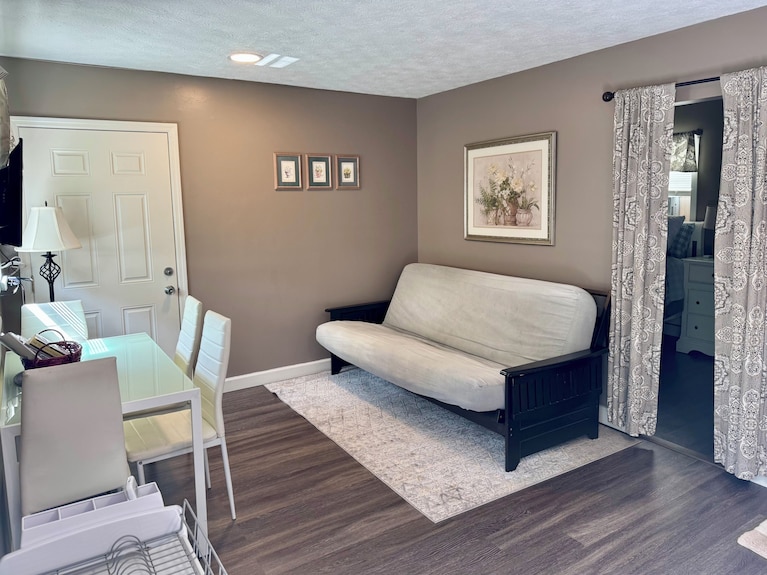 美しく装飾された1ベッドルーム1バスルームの効率 - フロリダ州