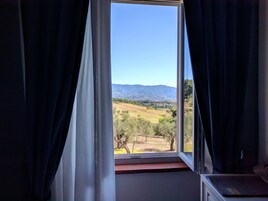 Janela com vista para uma paisagem, cortinas e um peitoril de madeira.