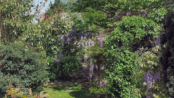 Casa de campo | Jardim