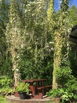Um jardim com um banco de madeira e plantas em vasos.