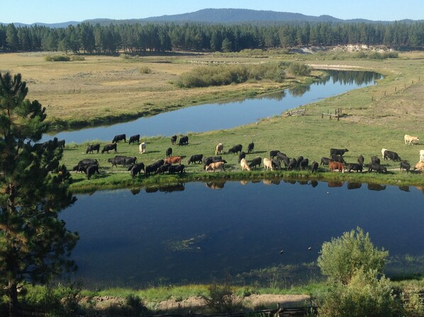 Home on the Sprague River in Chiloquin, Oregon-40 miles from Crater ...