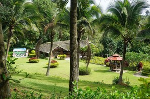 Um jardim exuberante com palmeiras, um edifício com telhado de palha e um gazebo.