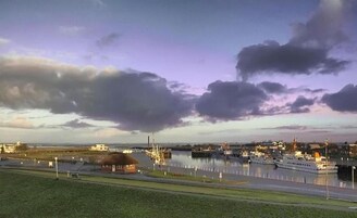 Uma marina com vários barcos atracados, um pequeno edifício e uma área gramada em primeiro plano.