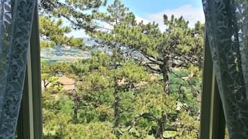 Apartamento clássico | 1 quarto, escrivaninha, quartos à prova de som, Wi-Fi de cortesia