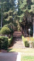 Escadaria de pedra rodeada por árvores e vegetação, que serpenteia subindo uma colina.