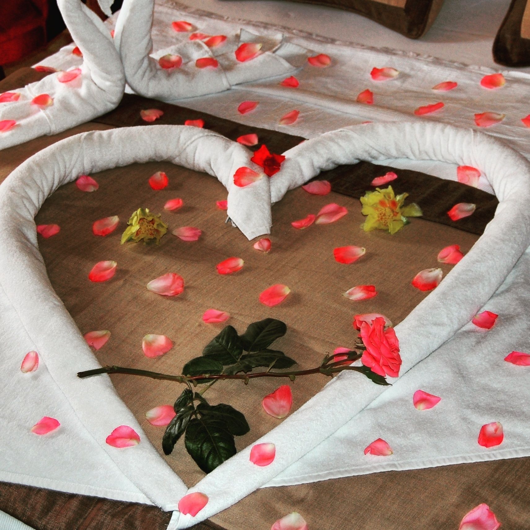 Arranjo em formato de coração com tecido branco, pétalas de rosa e um ramo de rosa.