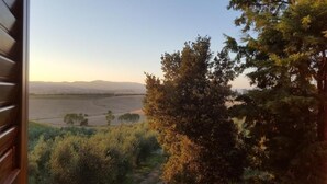 Vista da janela com paisagem de árvores e um corpo d'água ao longe.