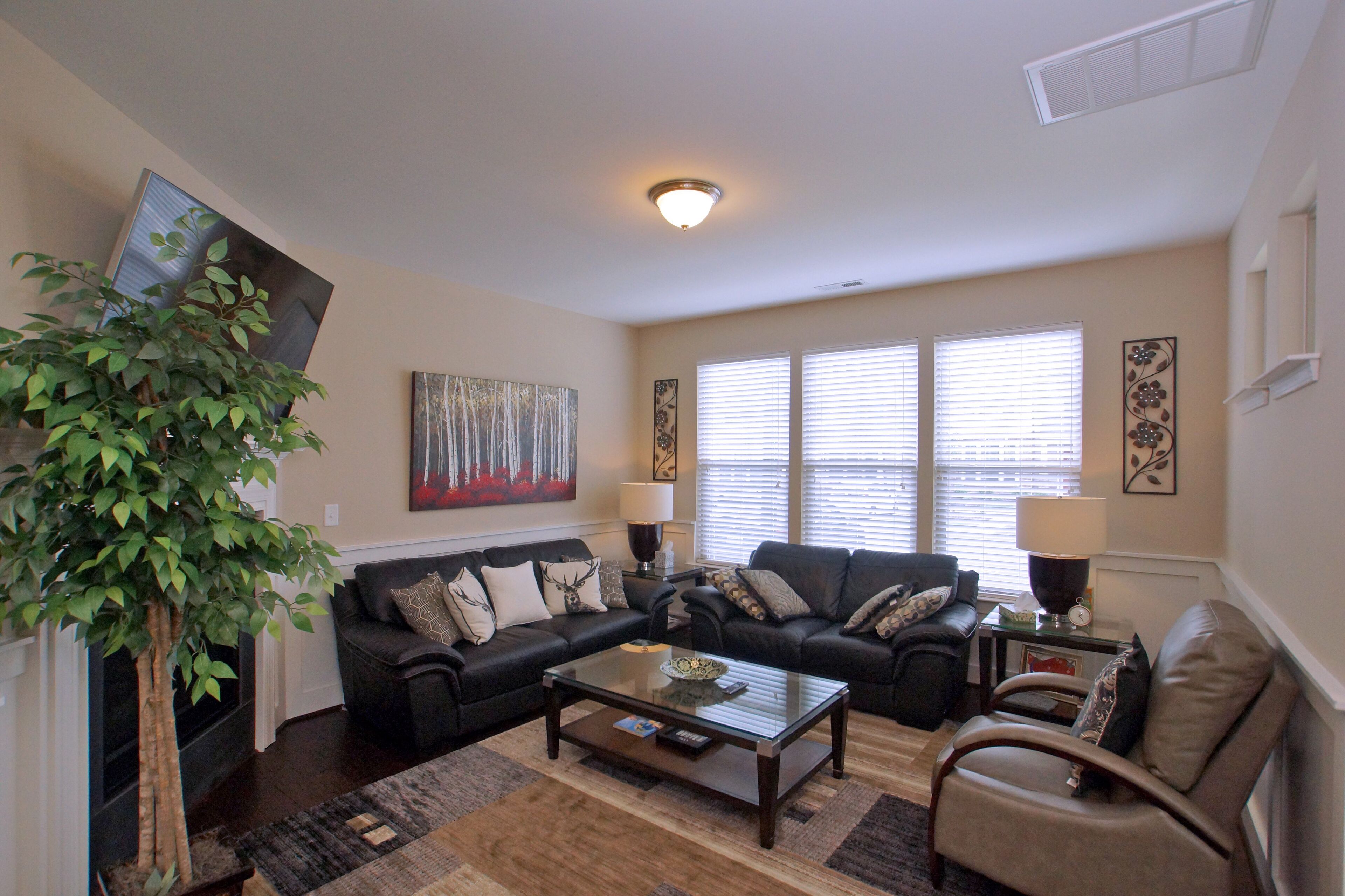 3 Spacious Bedroom-executive Town House, <Br>brand-new Construction, Duke Rtp - Durham, NC