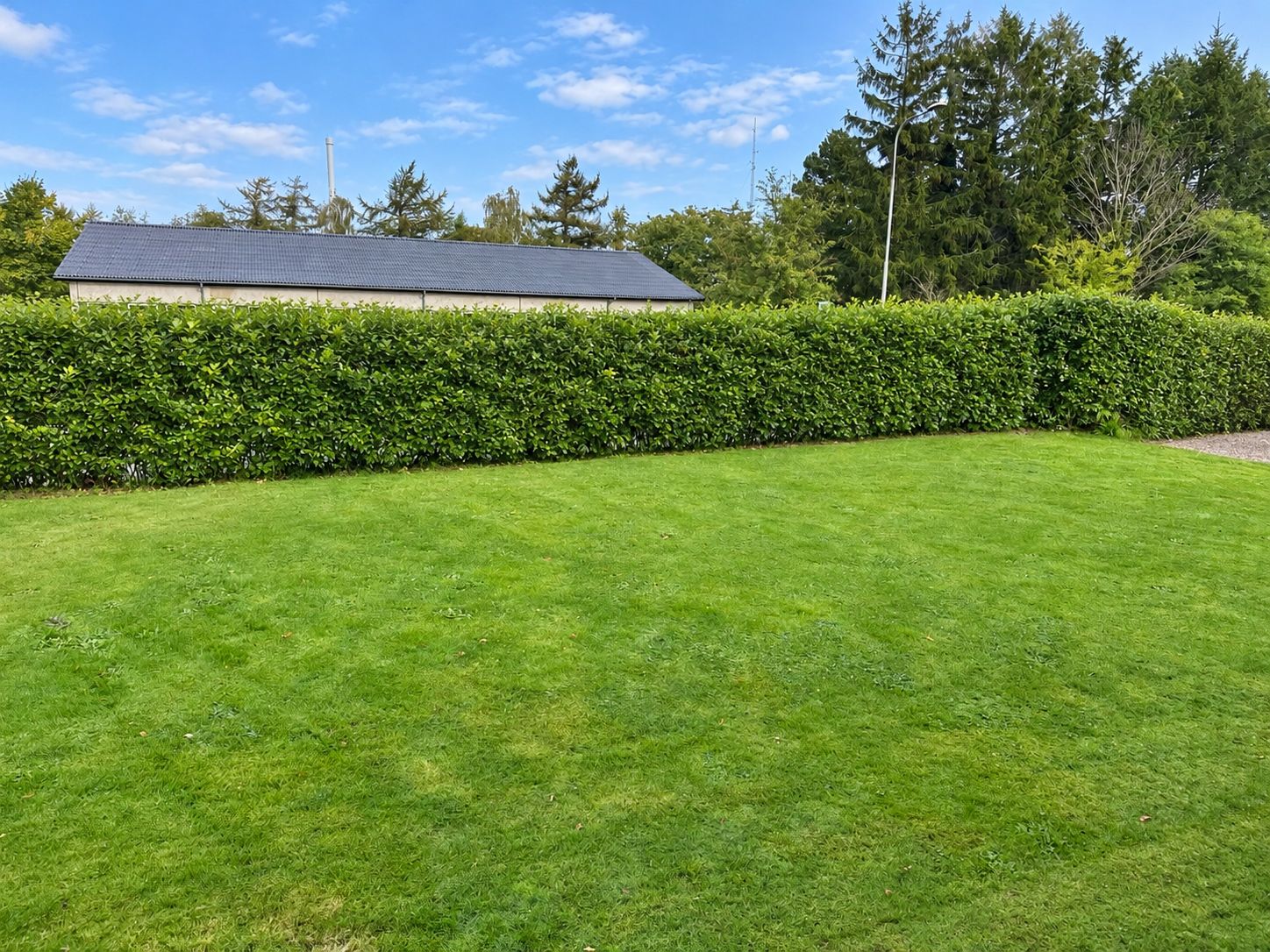 Relvado bem cuidado com um hedge e um edifício com telhado escuro ao fundo.