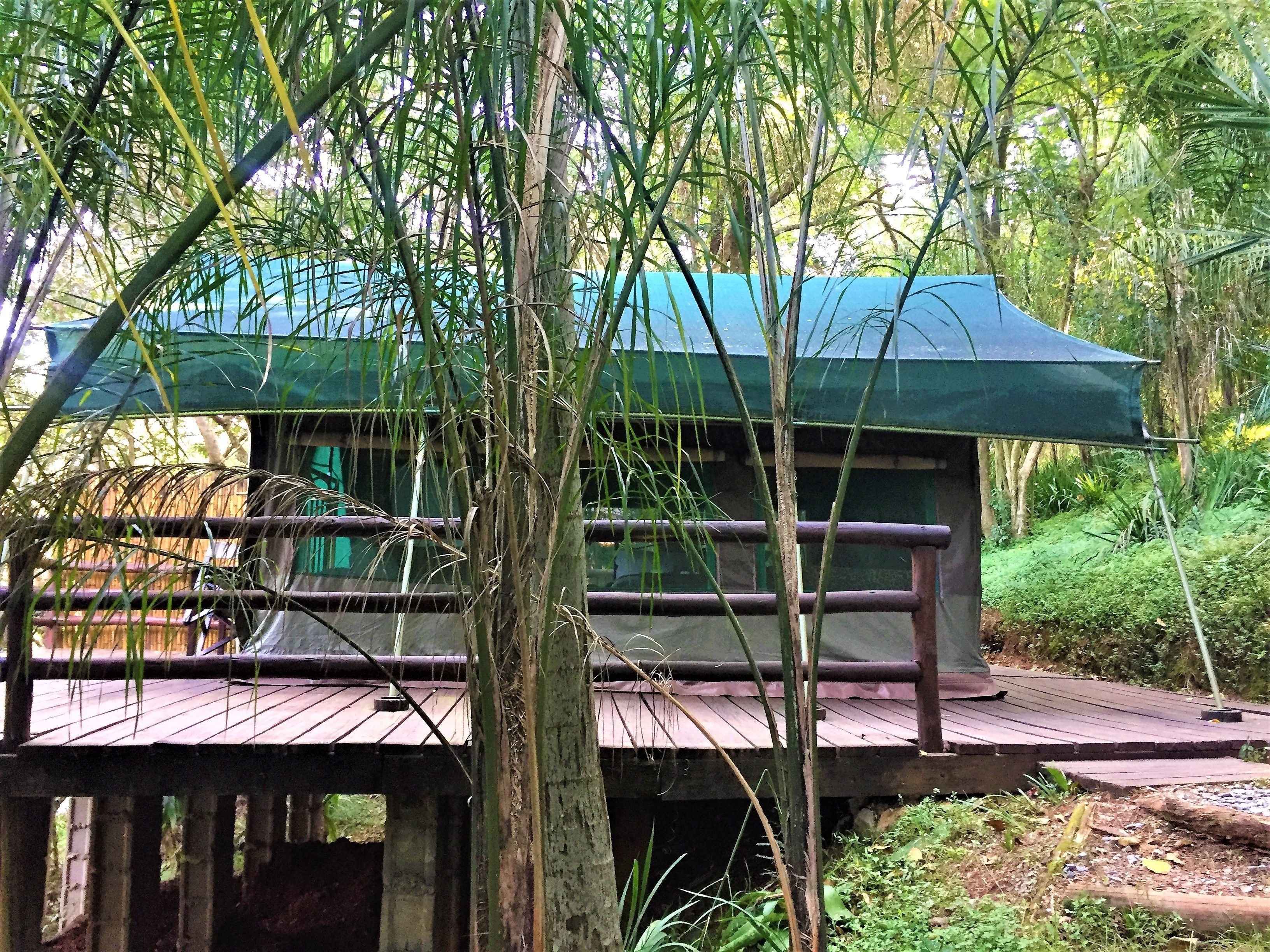 Uma cabana de madeira com telhado verde, rodeada por folhagem densa e um deck de madeira.