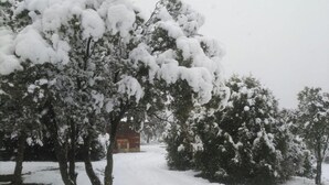 Paisagem coberta de neve com um prédio vermelho ao longe.