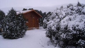 Uma cabana de madeira rodeada por árvores cobertas de neve.