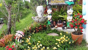 Um jardim com uma fonte de pedra, diversas plantas e uma placa com texto.