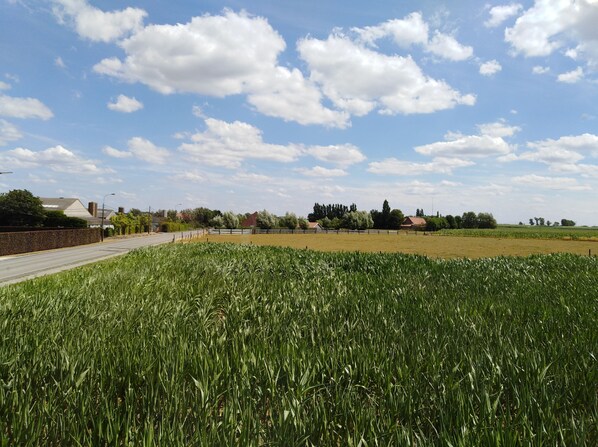 Paisagem rural com estrada, campos e edifícios ao longe.