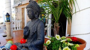 Uma estátua de Buda em um pátio com uma planta em vaso e um candeeiro.