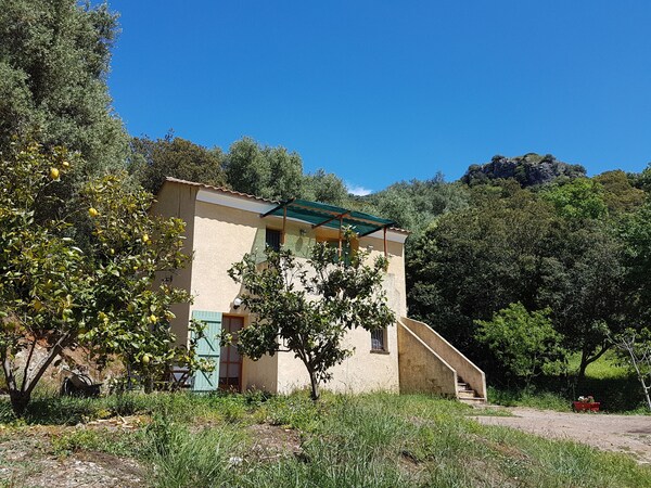 A Casa Di L'alivu - Cap Corse