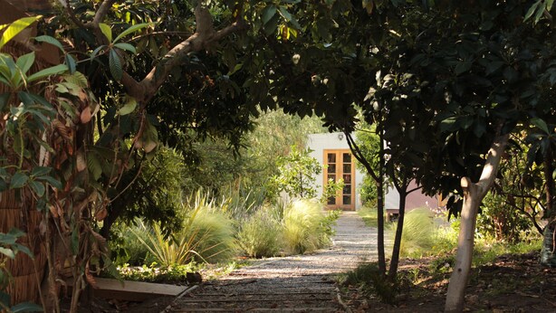 Um caminho leva a um edifício com porta de madeira, cercado por vegetação exuberante e árvores.