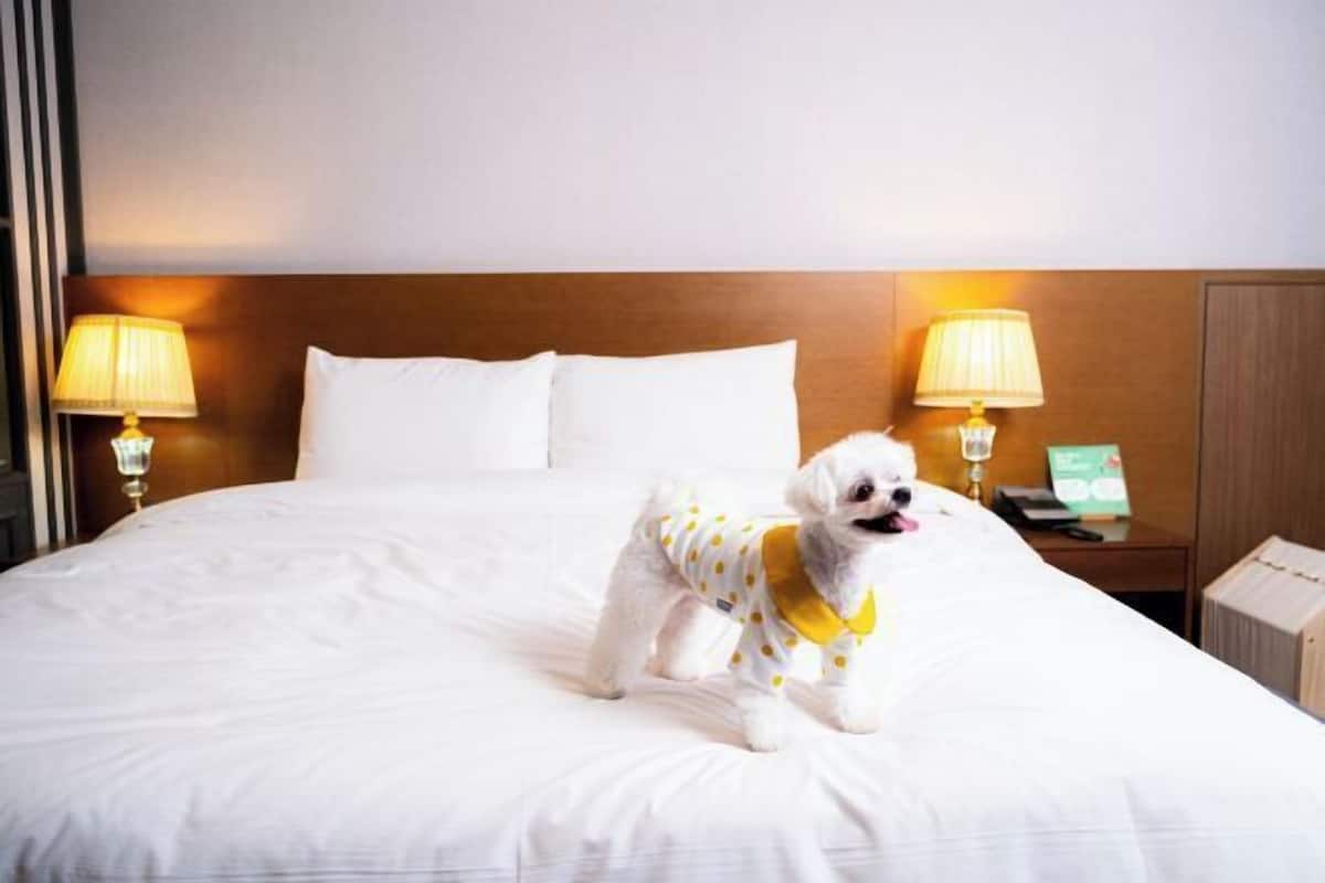 1 quarto, minibar, cofre no quarto, secretária