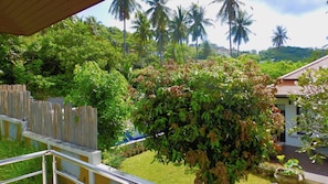 Jardim