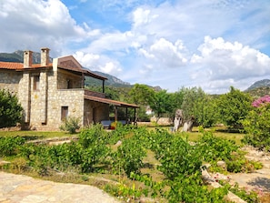 Vista da propriedade