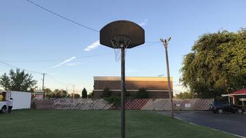 Um cesto de basquete numa área gramada, com um edifício de tijolos ao fundo.