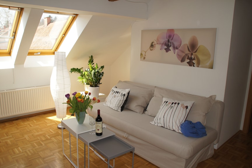 Chickes Appartement Dans Un Endroit Parfait - Graz