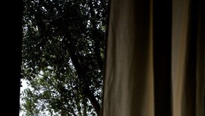 Visão através de uma janela com cortinas, mostrando um jardim com árvores e um caminho.