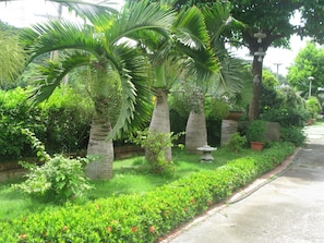 Terrenos do alojamento
