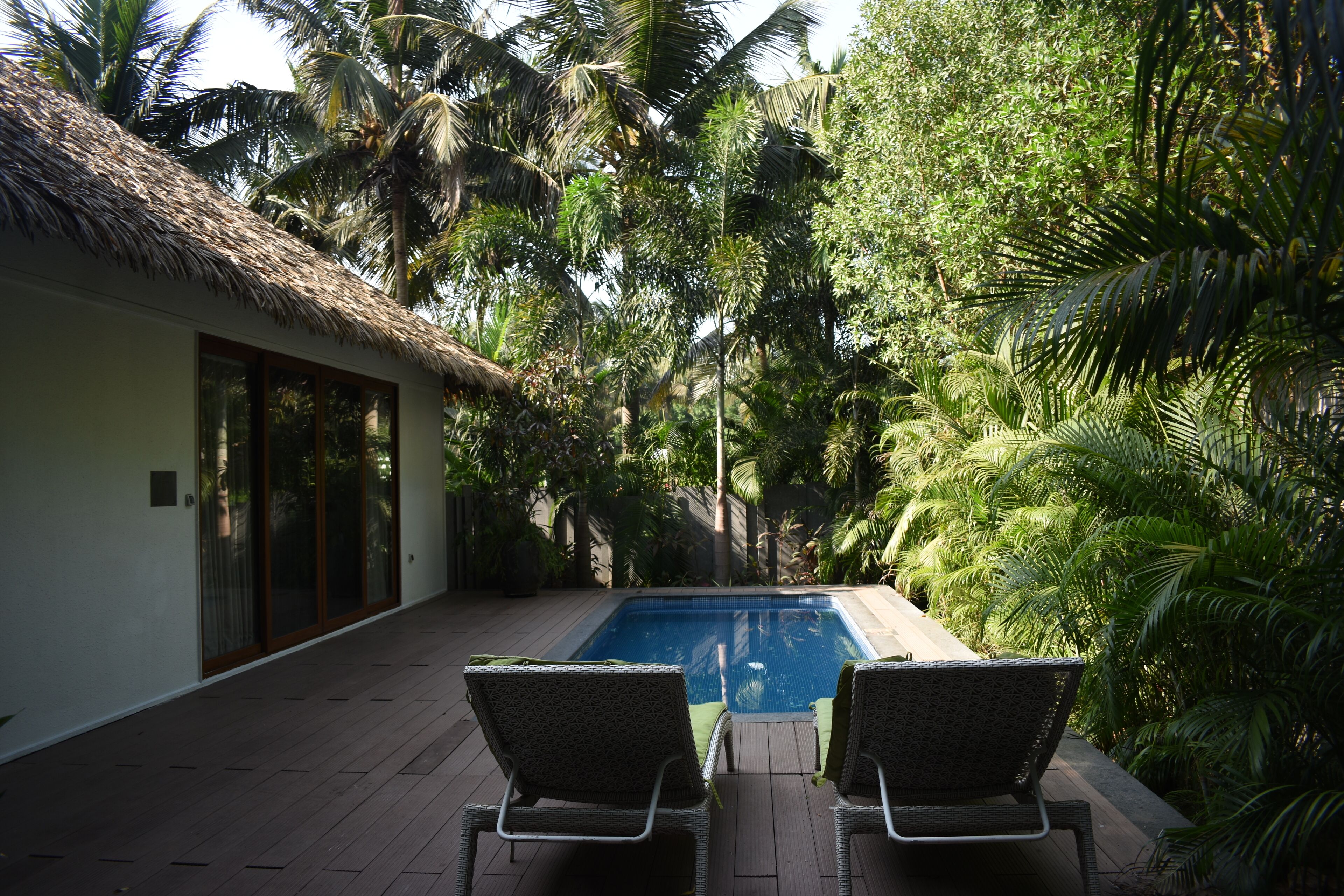 Área de piscina com duas espreguiçadeiras, cercada por vegetação exuberante e uma estrutura de telhado de palha.