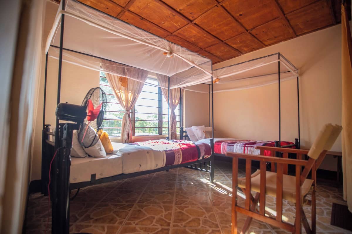 Um quarto com uma cama, uma cadeira e um mosquiteiro.