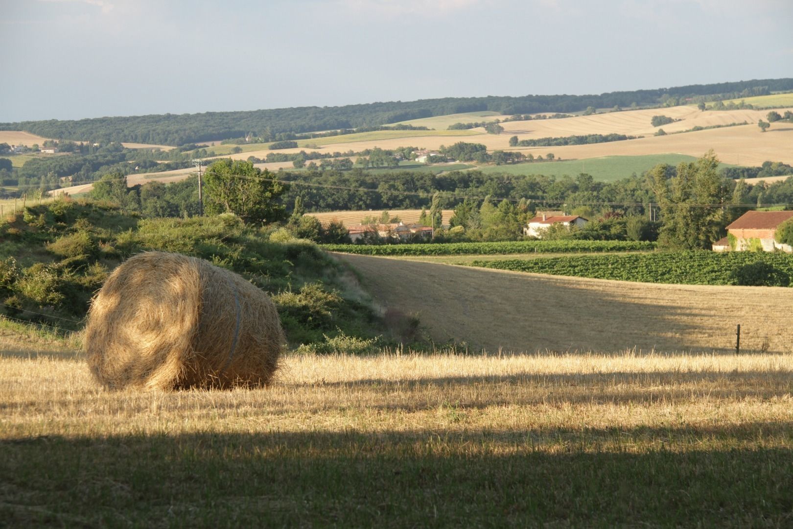 Paisagem rural com um fardo de feno grande em primeiro plano, campos e casas ao longe.