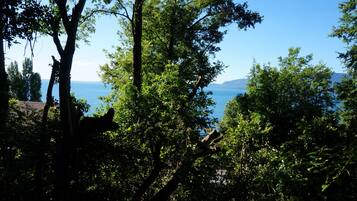 Vista de um lago rodeado por árvores densas.