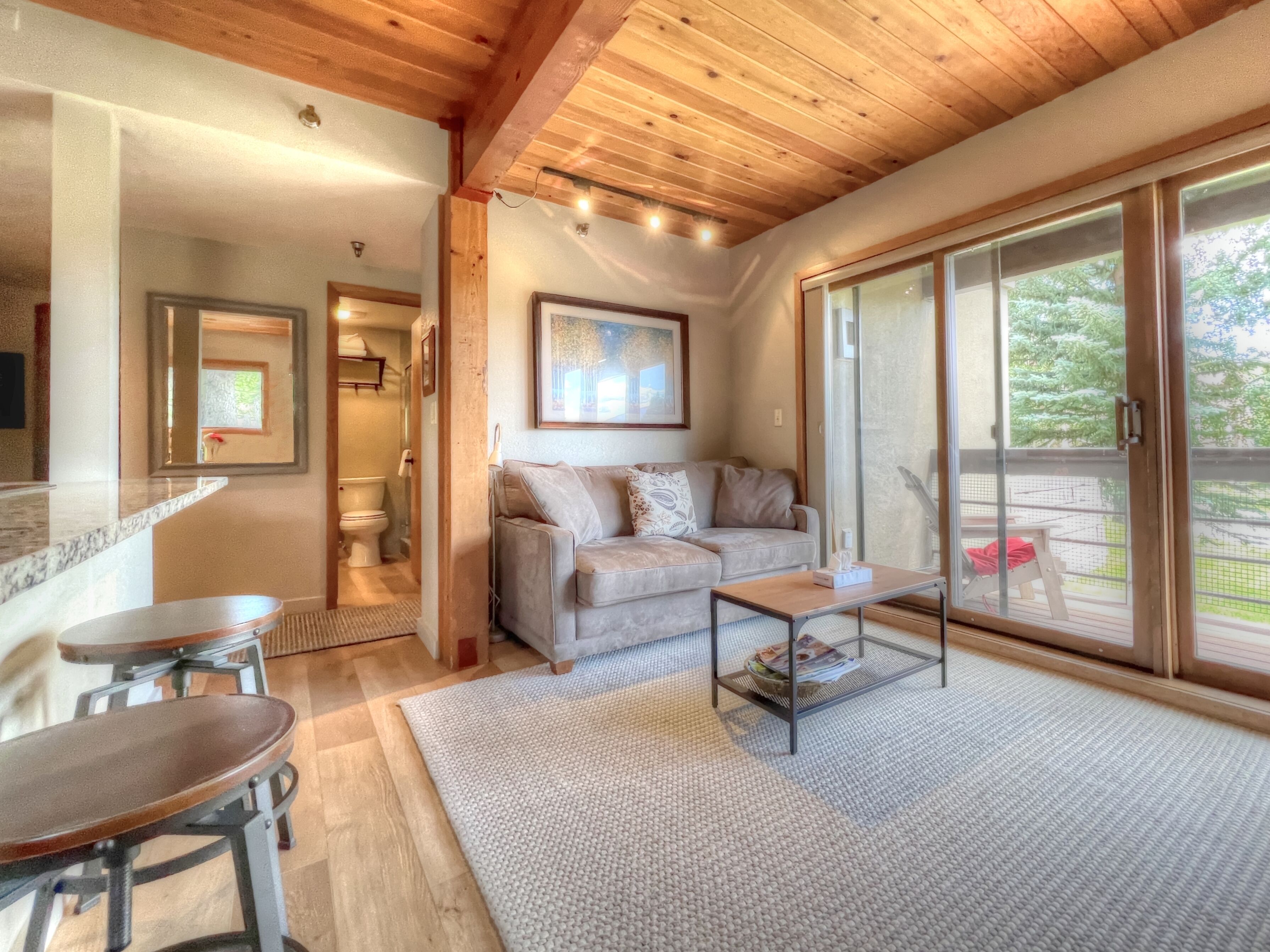 Beautifully Upgraded 1 Bedroom, On Shuttle Route With Hot Tub, Fire Pit! - Crested Butte, CO