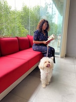 Uma pessoa sentada em um sofá vermelho lendo um livro, com um pequeno cão branco por perto.