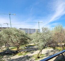 Apartamento família, 1 quarto, vista para o pátio | Vista para o pátio