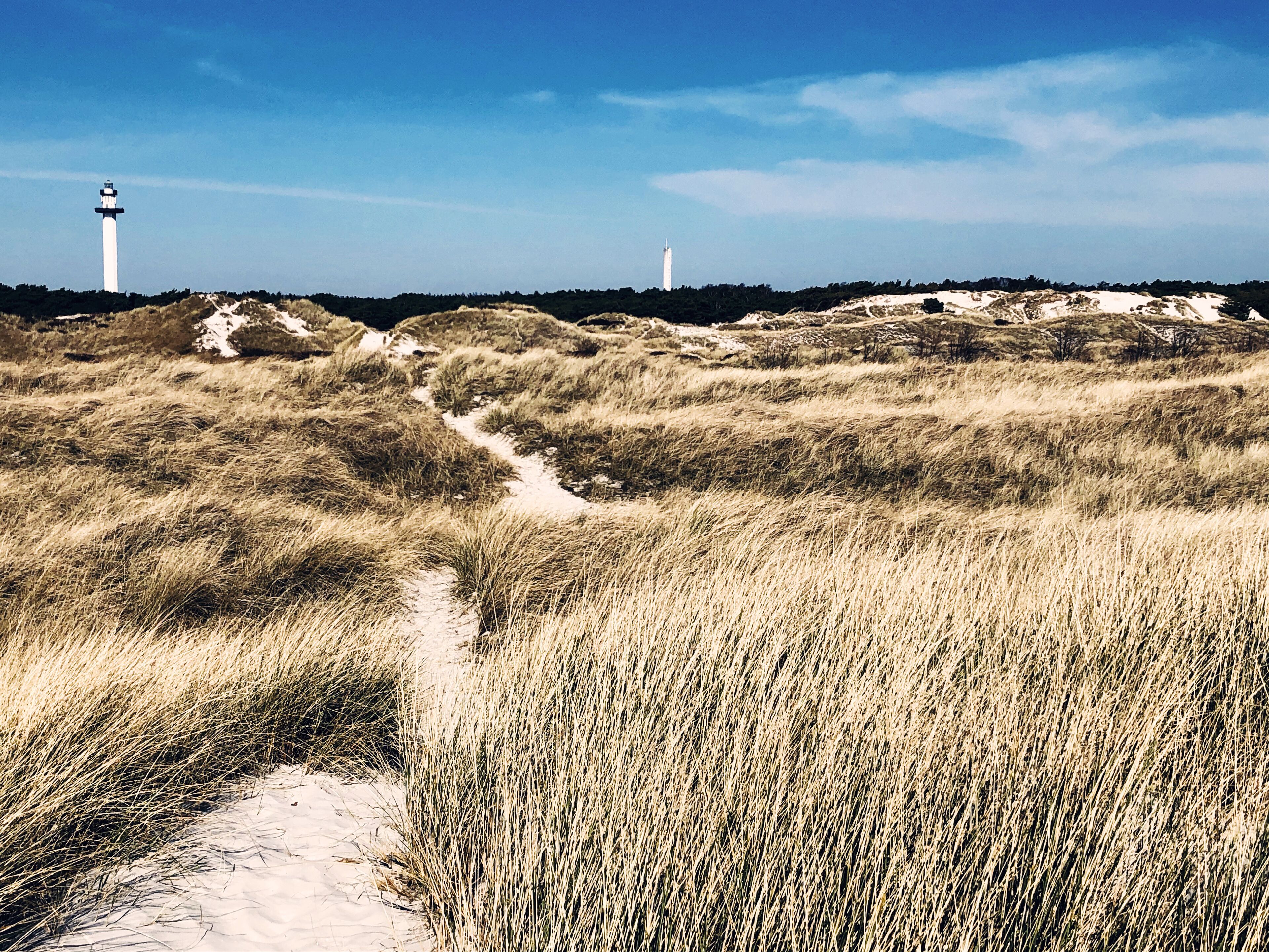 Paisagem costeira com dunas de areia e um farol ao longe.