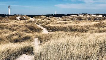 Paisagem costeira com dunas de areia e um farol ao longe.
